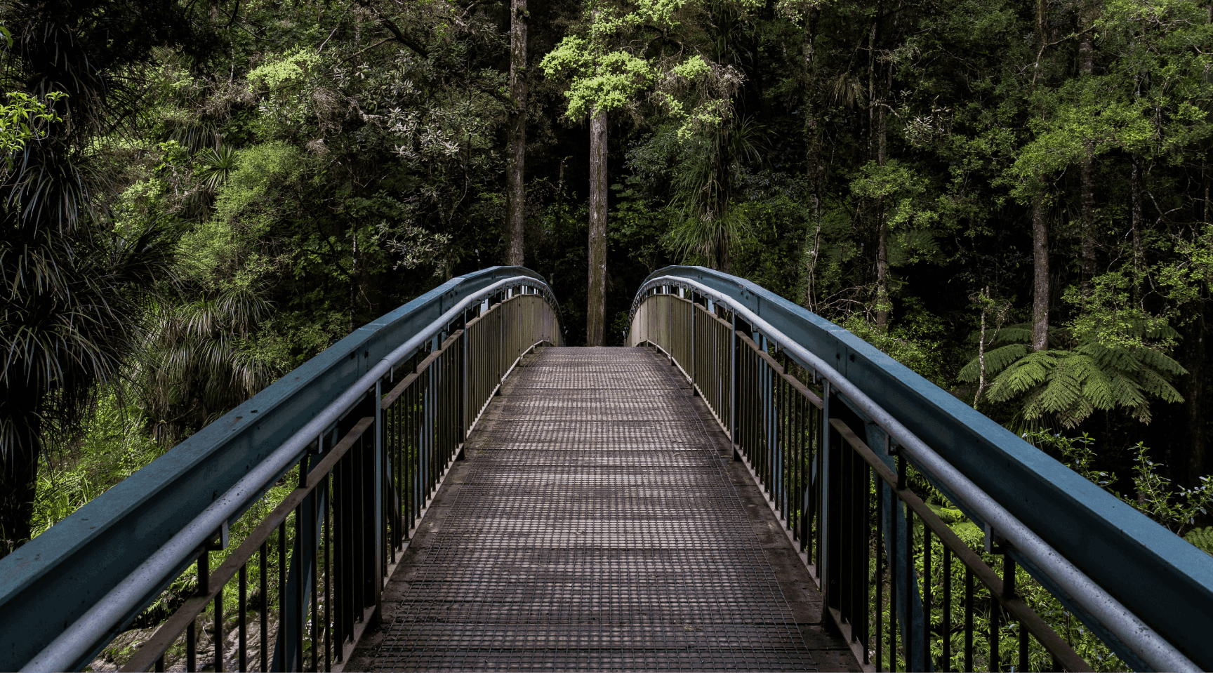 Awaq Estaciones Biológicas